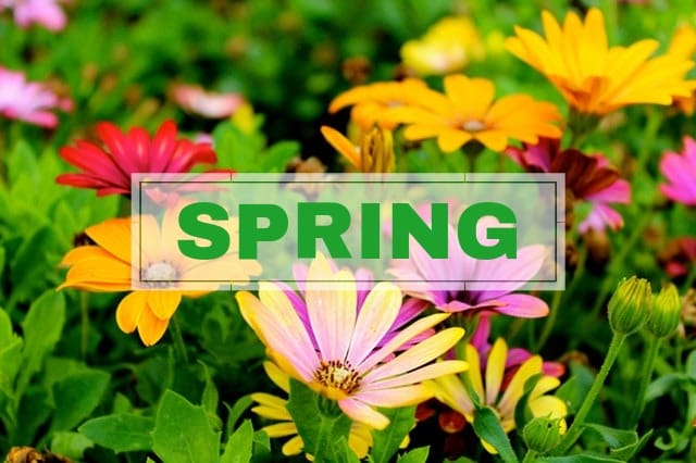 Spring – Shades of Green