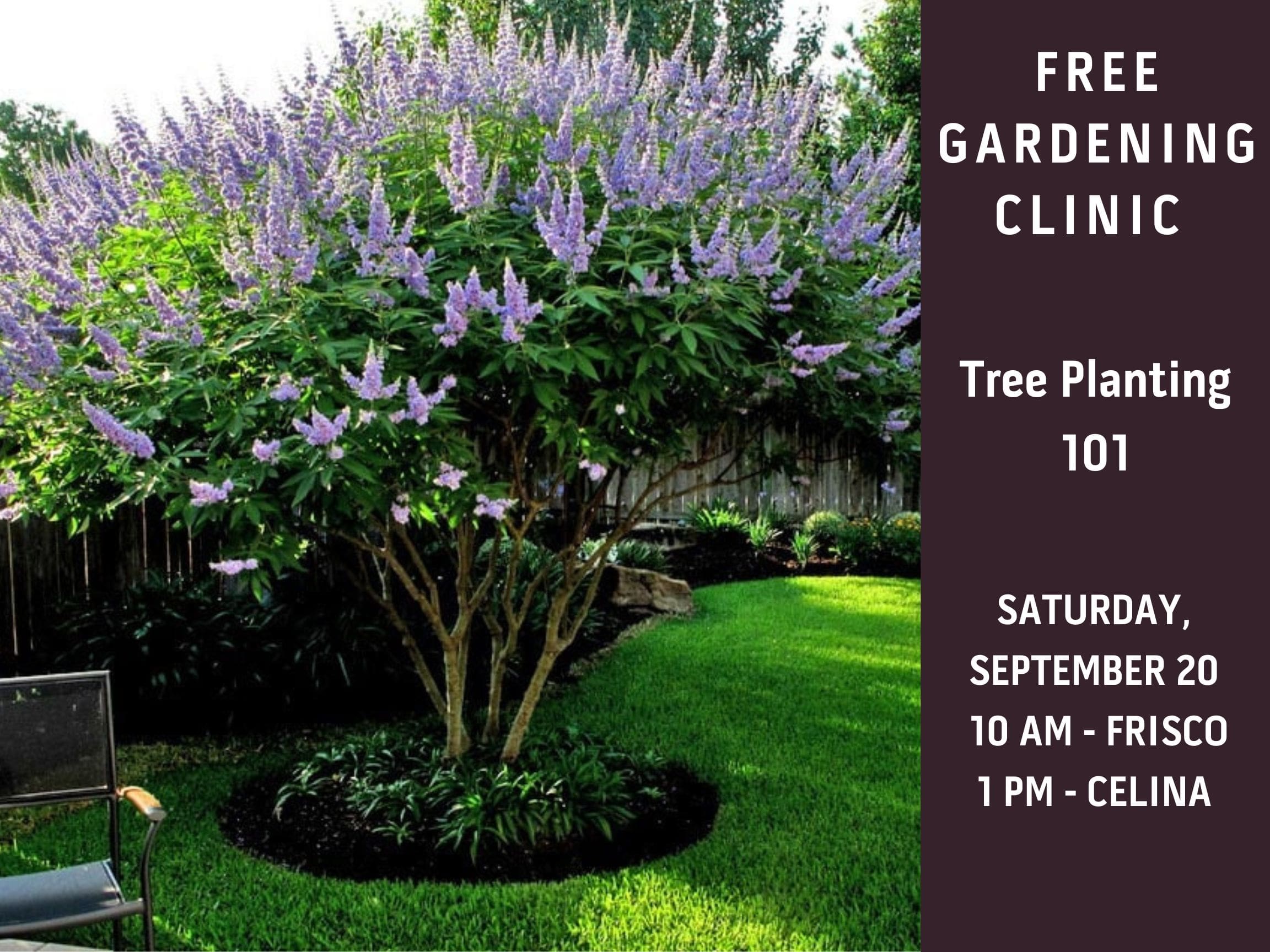 Tree Planting 101 - Shades of Green Nursery + Landscape